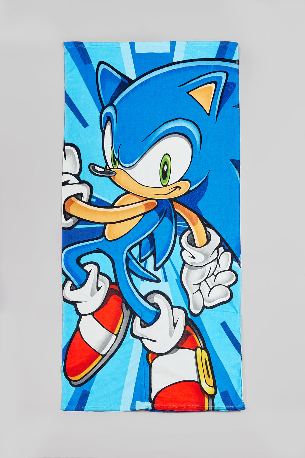 SONIC THE HEDGEHOG - William Lamb Group